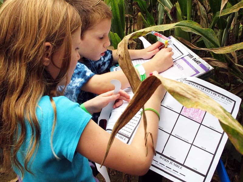 Cornfield Maze Adventure – Maize Quest Corn Maze & Fun Park