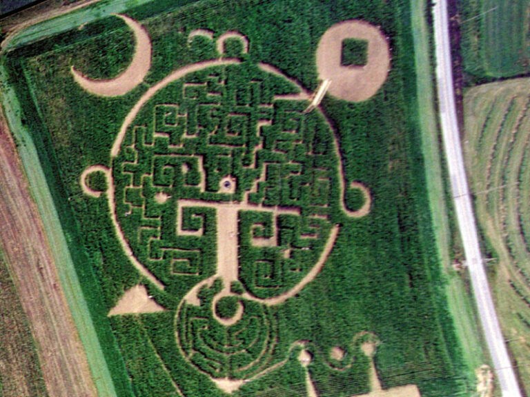 1997 – Tree of Life – Maize Quest Corn Maze & Fun Park