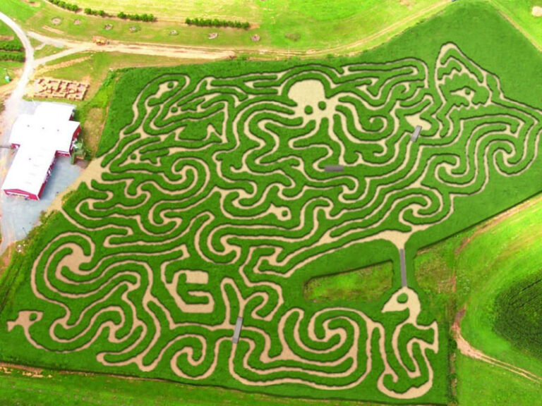 2001 – Deep Sea Adventure – Maize Quest Corn Maze & Fun Park